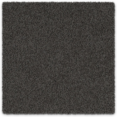 graphite - Chirnside Carpets