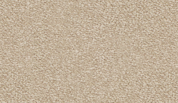 carpet-royal_gem-brilliant-floor-godfrey_hirst.jpg - Chirnside Carpets