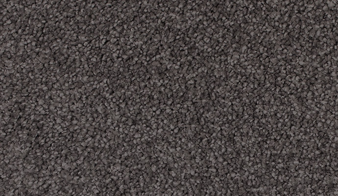 Timeless Oakheart Stipple | Chirnside Carpets | Lilydale