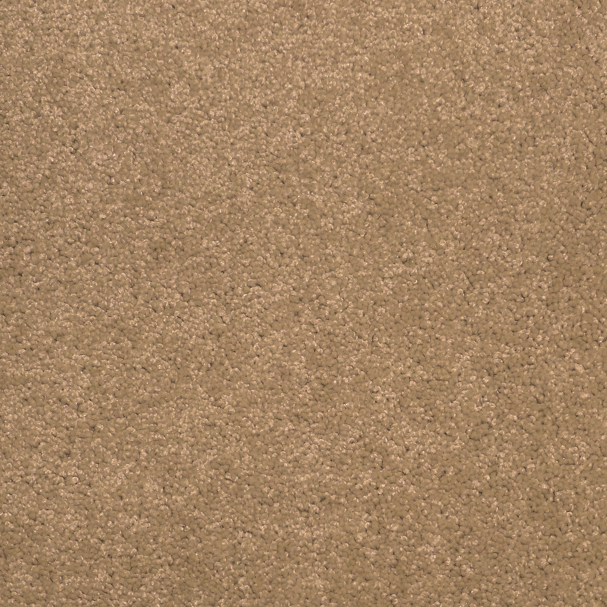 pebble bay - Chirnside Carpets